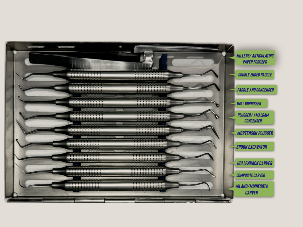 Restorative Kits contains 10 Instruments With FREE metal cassette – Moiadcdental